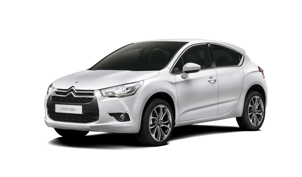 Online hondenrekken te koop voor uw DS DS 4